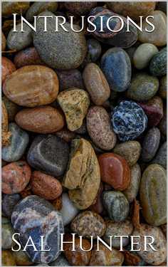 Sal Hunter, Author | Sal Hunter, Author